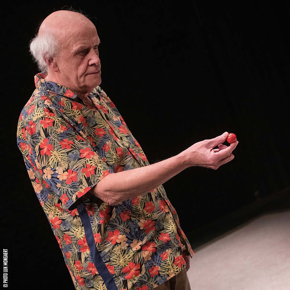 WARRE BORGMANS, BRITT DAS EN DIMITRI LEUE - De borre